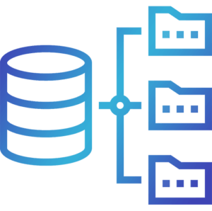 The Access Man - Expert Microsoft Access database consultants